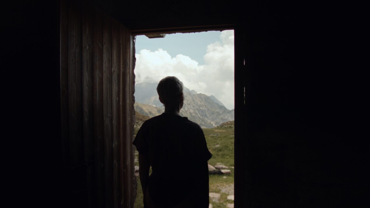 Laava (2023) – Forum Box